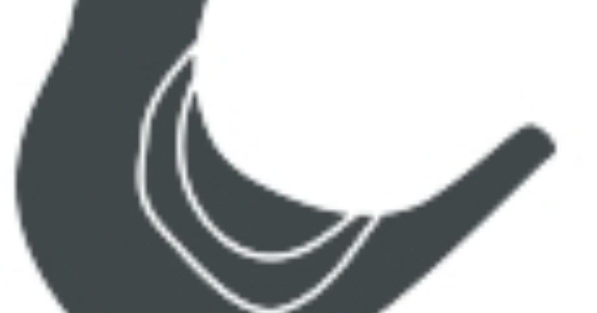 Behind the Brands - BaoBag